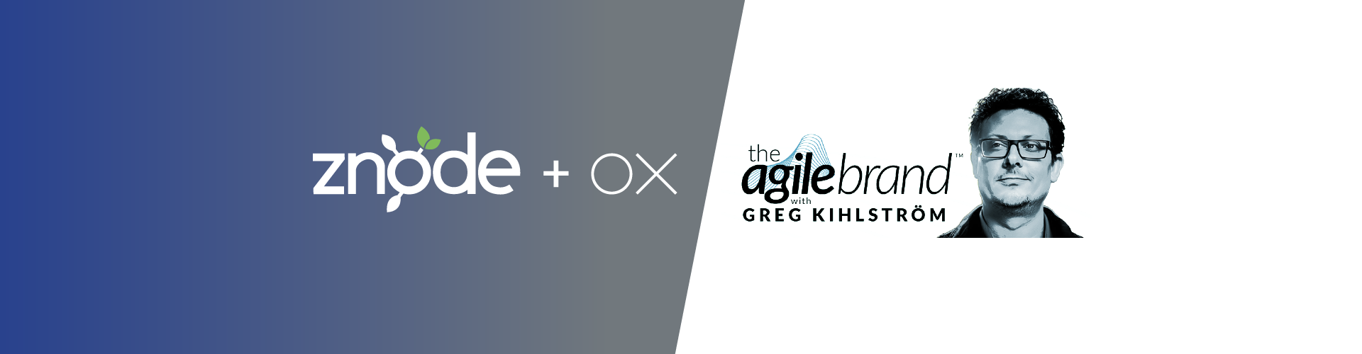 Unlock Expert Mode: Getting to a B2B Ecommerce Strategy Znode + OX Agile Brand Podcast